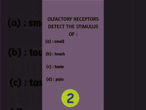 olfactory receptors | receptors of smell
