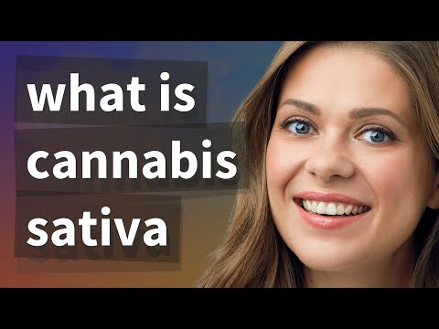 Cannabis sativa | meaning of Cannabis sativa