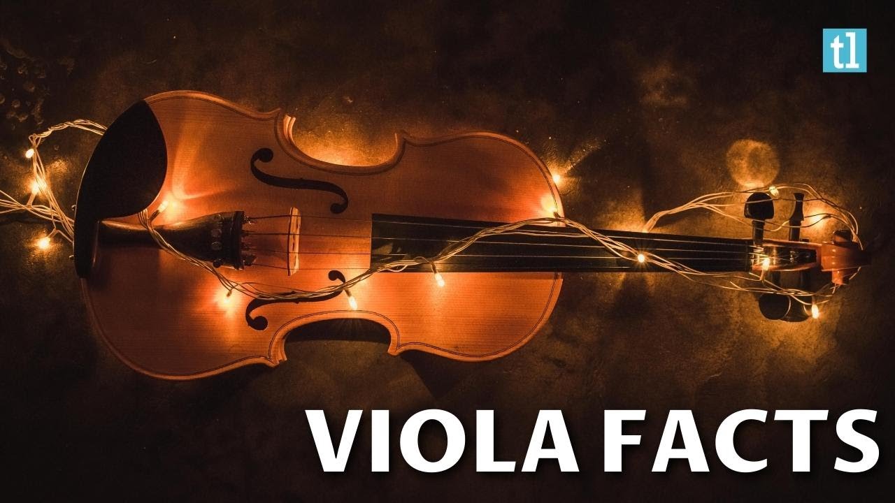 Viola Facts