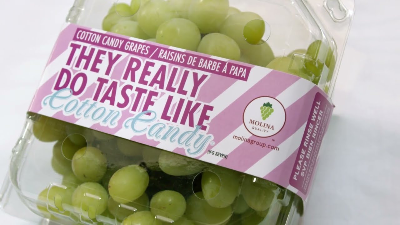 Grupo Molina Video Institucional