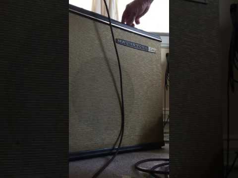 Magnatone M8 amplifier 1964 | Reverb