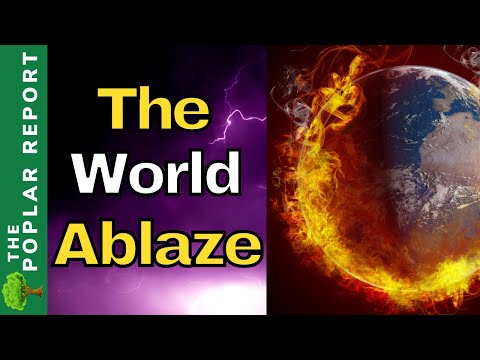 Conflicts Breaking Out All Over The Globe! Critical News 4th Of July ...