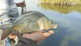 Video | Flux • AGERPRES • Actualizează lumea.