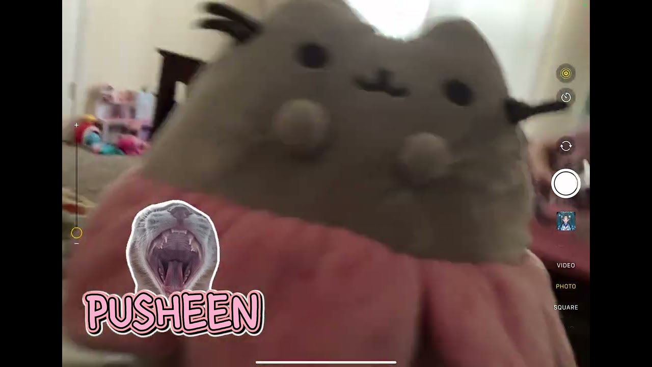 my frist PUSHEEN😺😺😺😺😺😺😺
