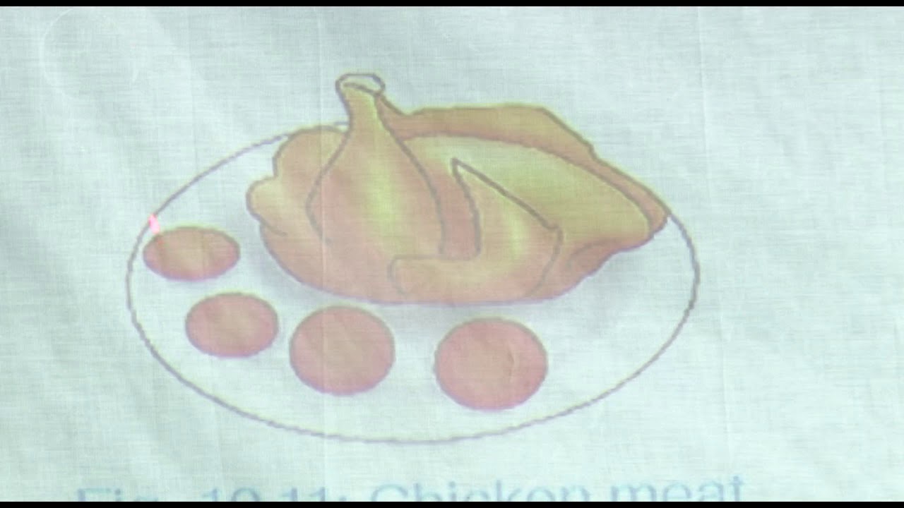 SCIENCE Lesson 9 : Chicken farming / Pouletry keeping.