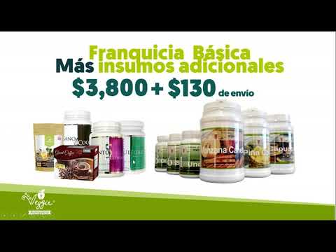 "CAPACITACIÓN FRANQUICIAS VEGGIE" 1