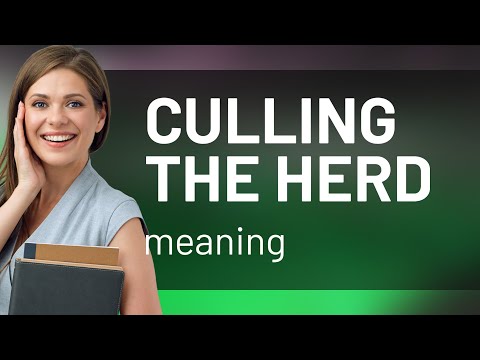 Understanding "Culling the Herd": A Deep Dive into the Phrase