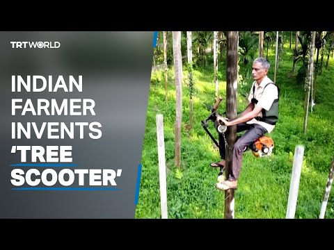 Indian farmer invents ‘tree-climbing scooter’ to harvest betel nuts