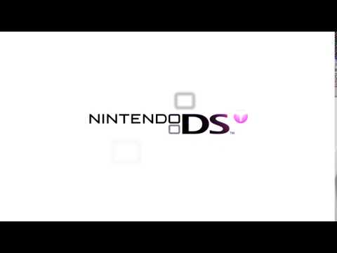 Nintendo DSi Intro