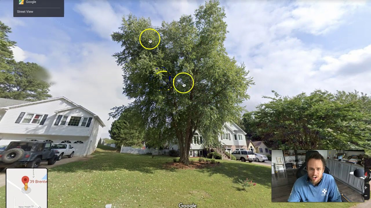 Certified Arborist tell's all on proper pruning Techniques!