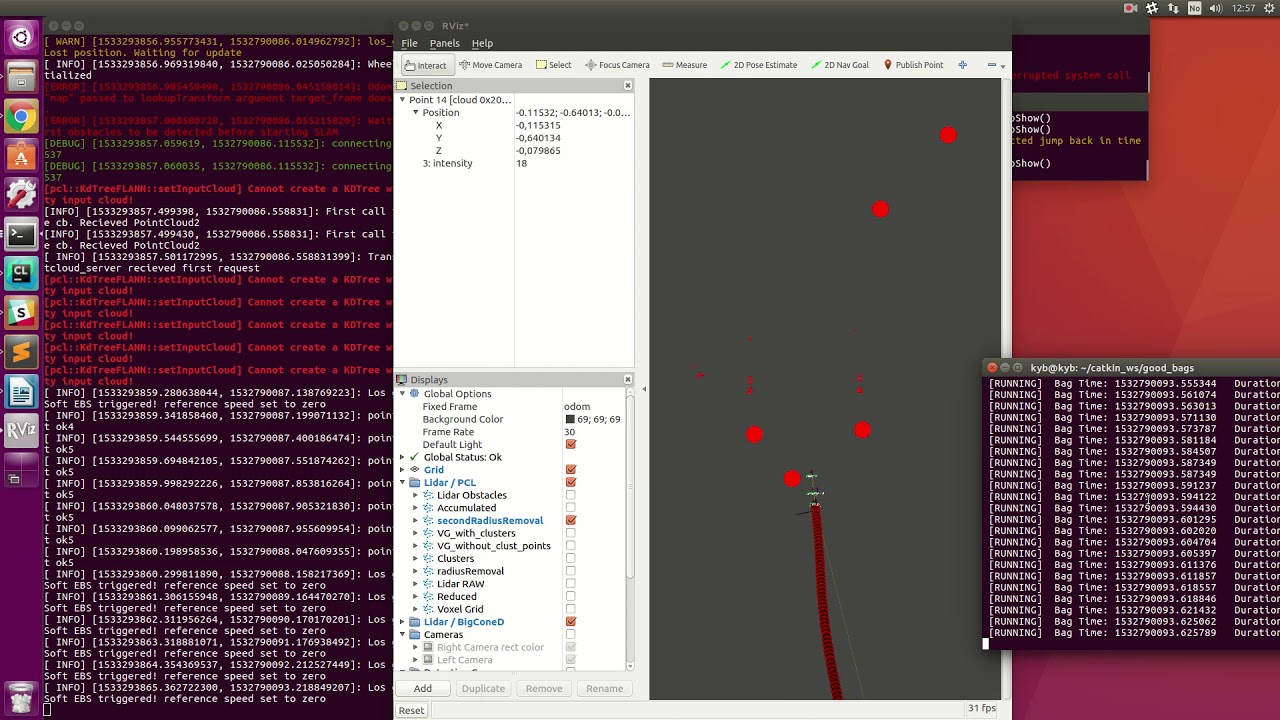 big cone detection