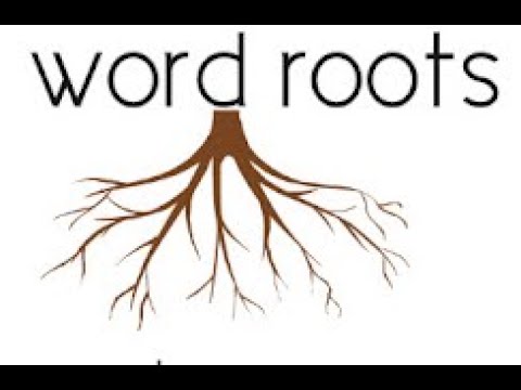 Unlock the Power of Words: Discover the Latin Root "PROB" | Word of the Day
