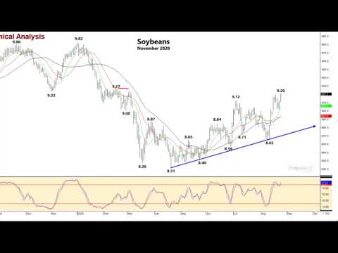 November Soybean Chart | Heartland Farm Partners