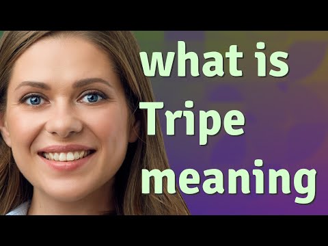 Tripe | meaning of Tripe