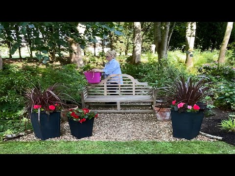 Planting ferns, brunnera and hydrangea | Shade Border clean-up