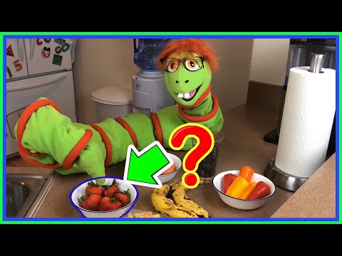 Learn Categories for Kids | Bebo and Buggy pack for the Beach!