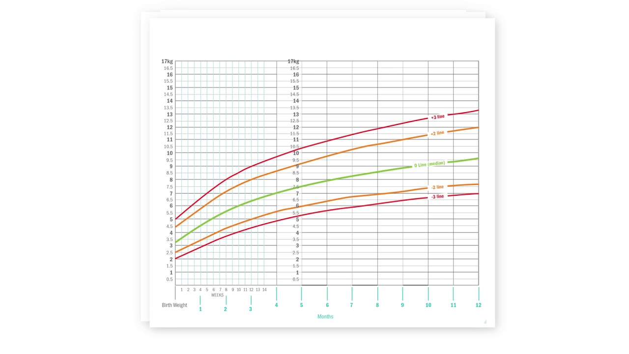 Understanding Growth Monitoring in Children: Key Metrics for Health ...