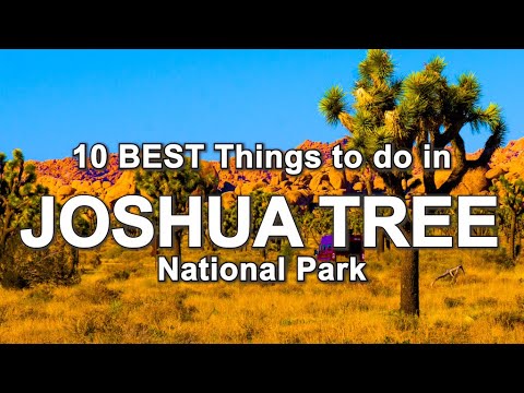 What to do in Joshua Tree National Park 🌵 California Travel Guide ☀️ Best Hikes and Places to see