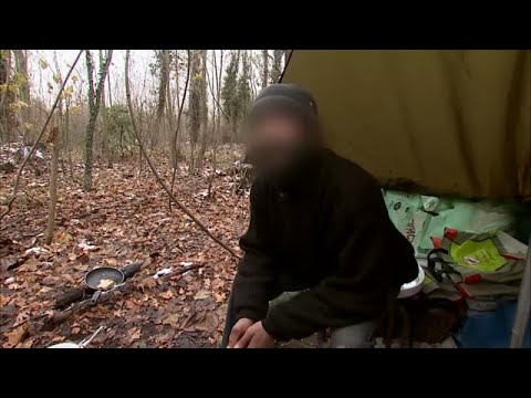 La vie difficile dans le bois de Vincennes
