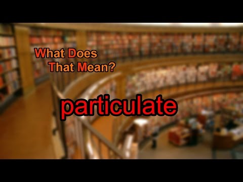 What does particulate mean?