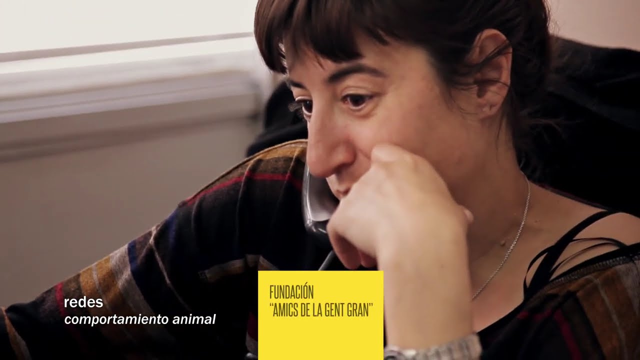 Animal Behavior - ELSA PUNSET