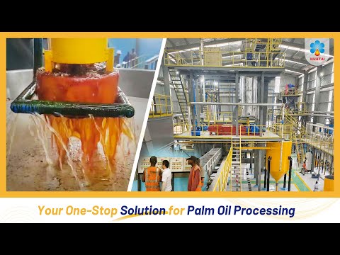 đźŹAutomated palm fresh fruit bunch (FFB) processing line - Palm oil mill - How is palm oil made?