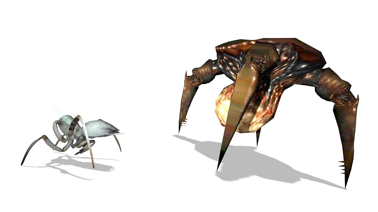 Antlion Workers vs Gonarch (Headcrabs)