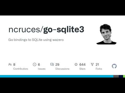 go-sqlite3/sqlite3/libc at main · ncruces/go-sqlite3