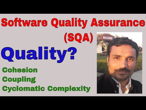 Software Quality Assurance (topic: Quality) | in urdu hindi | M Ikram Ul Haq