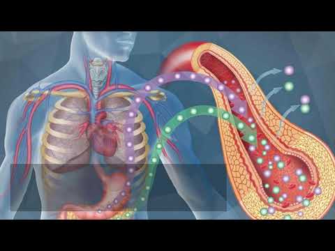 Diabetic Coma - What Is IT and how it HAPPENS