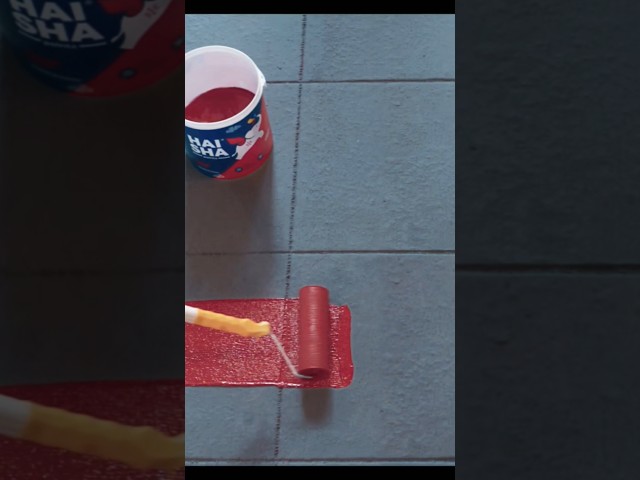 Wood Paint - Pidilite Paint . Service Provider from Mumbai