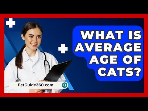 What Is Average Age Of Cats? - PetGuide360.com