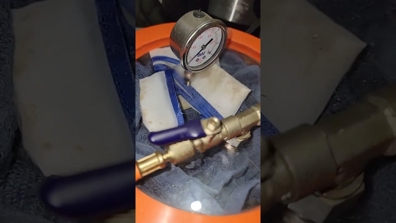 making live hash rosin with no freeze dryer #growth #garden #gardening