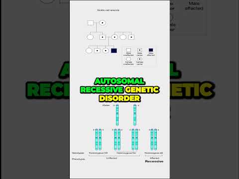 What is an Autosomal Recessive Disorder?