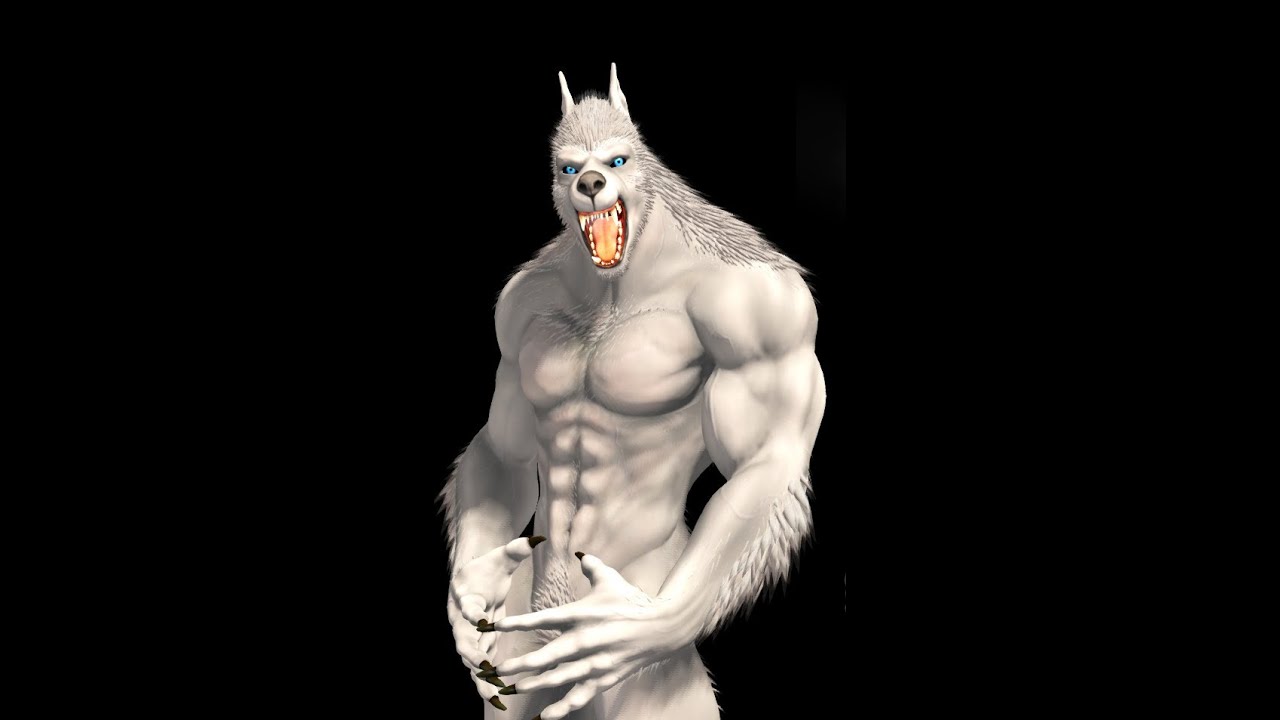WereDog HellSeries Demonstration