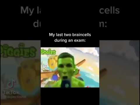 Pov: my last 2 brain cells during a exam