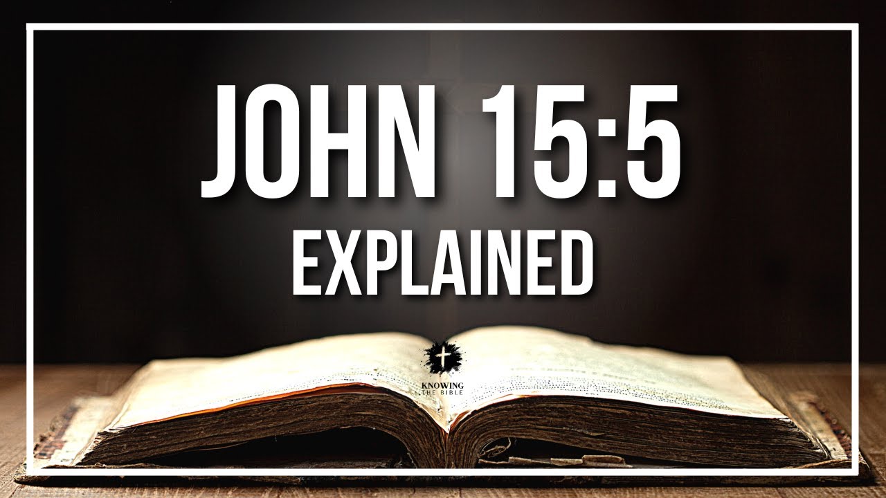 JOHN 15:5 Explained - What Does The Bible Verse JOHN 15:5 [KJV] REALLY Mean?