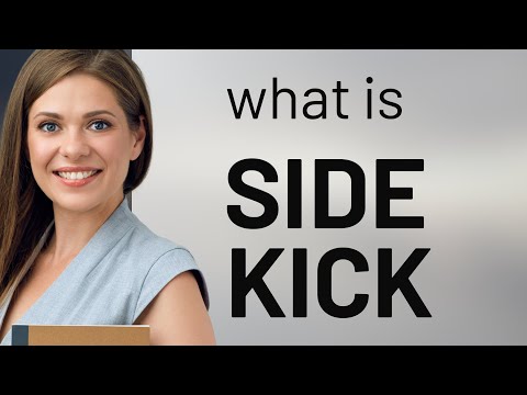 Understanding "Sidekick": A Comprehensive Guide
