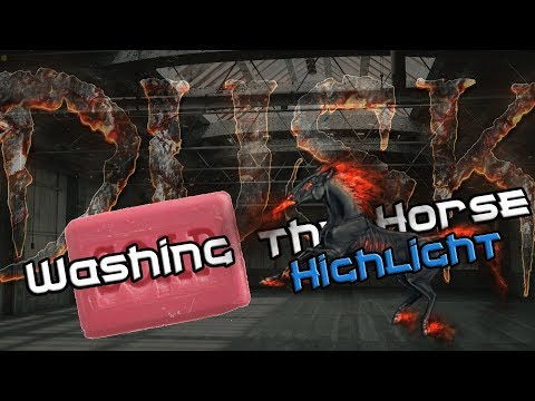 Steam Community :: Video :: [Dusk] Washing the Horse