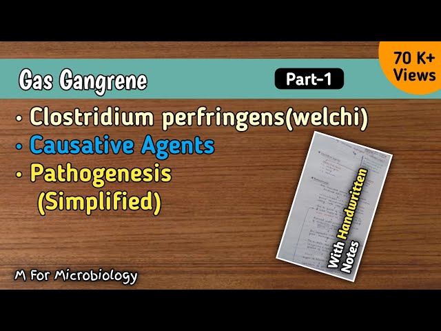 Understanding Gas Gangrene: Causes, Pathogenesis, and Clinical ...