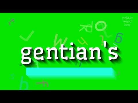 How to say "gentian's"! (High Quality Voices)