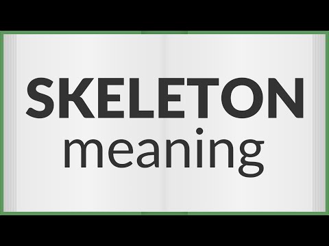 Skeleton | meaning of Skeleton