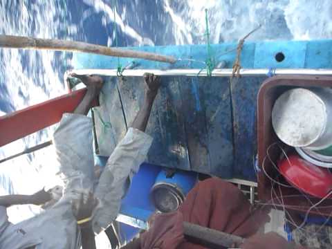 Sri Lanka,ශ්රී ලංකා,Fishing Trip on a Trawler:Tuna Line Fishing (20)