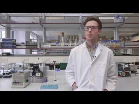 Department of Molecular Biology and Biotechnology at Sheffield