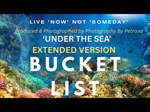 ‘BUCKET LIST’- UNDER THE SEA- EXTENDED VERSION!