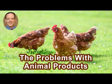 The Problems With Animal Products