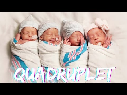 Can you have 4 babies at the same time? What is Quadruplets? Helpful Information About Quadruplets 🤩