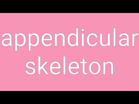 Appendicular Skeleton Definition & Meaning