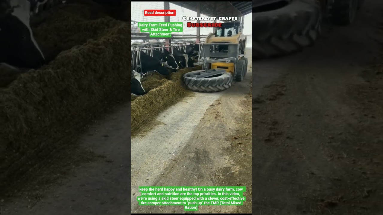 Dairy Farm Feed Pushing with Skid Steer & Tire Attach @Crafterlystcrafts #farming#farm #tractor