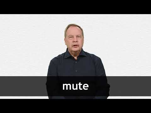 How to pronounce MUTE in American English